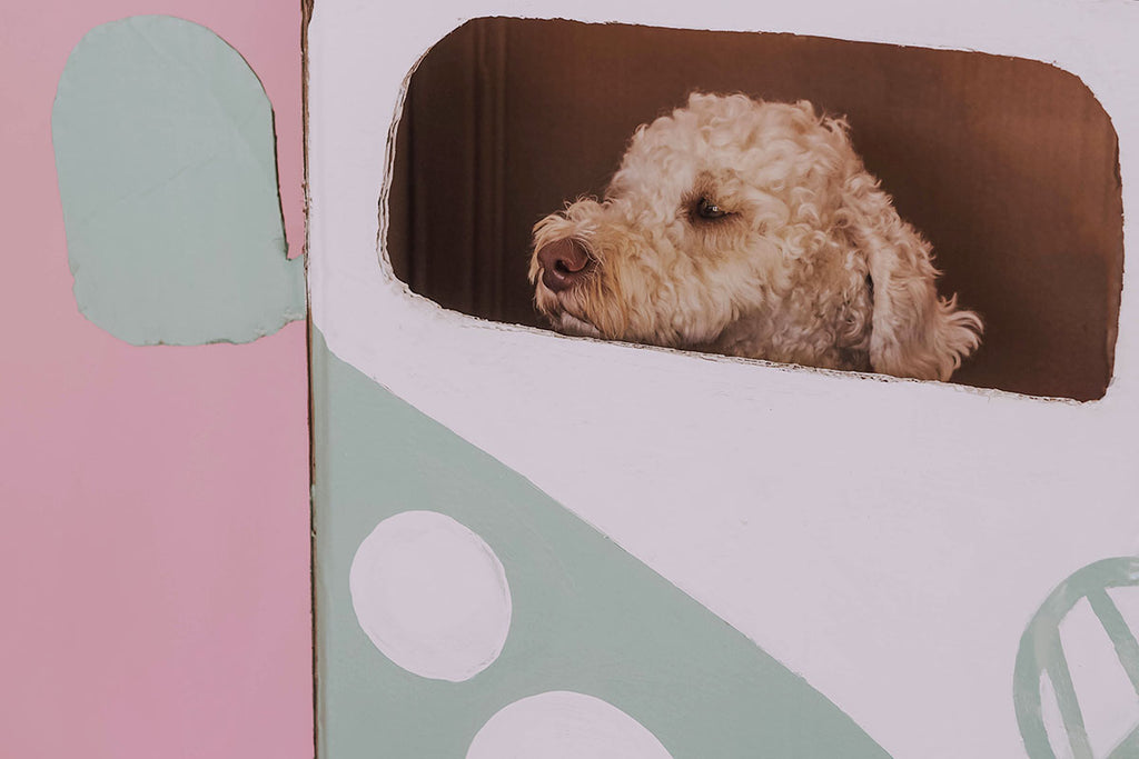 DIY | Cardboard Kombi – Olli Ella Au